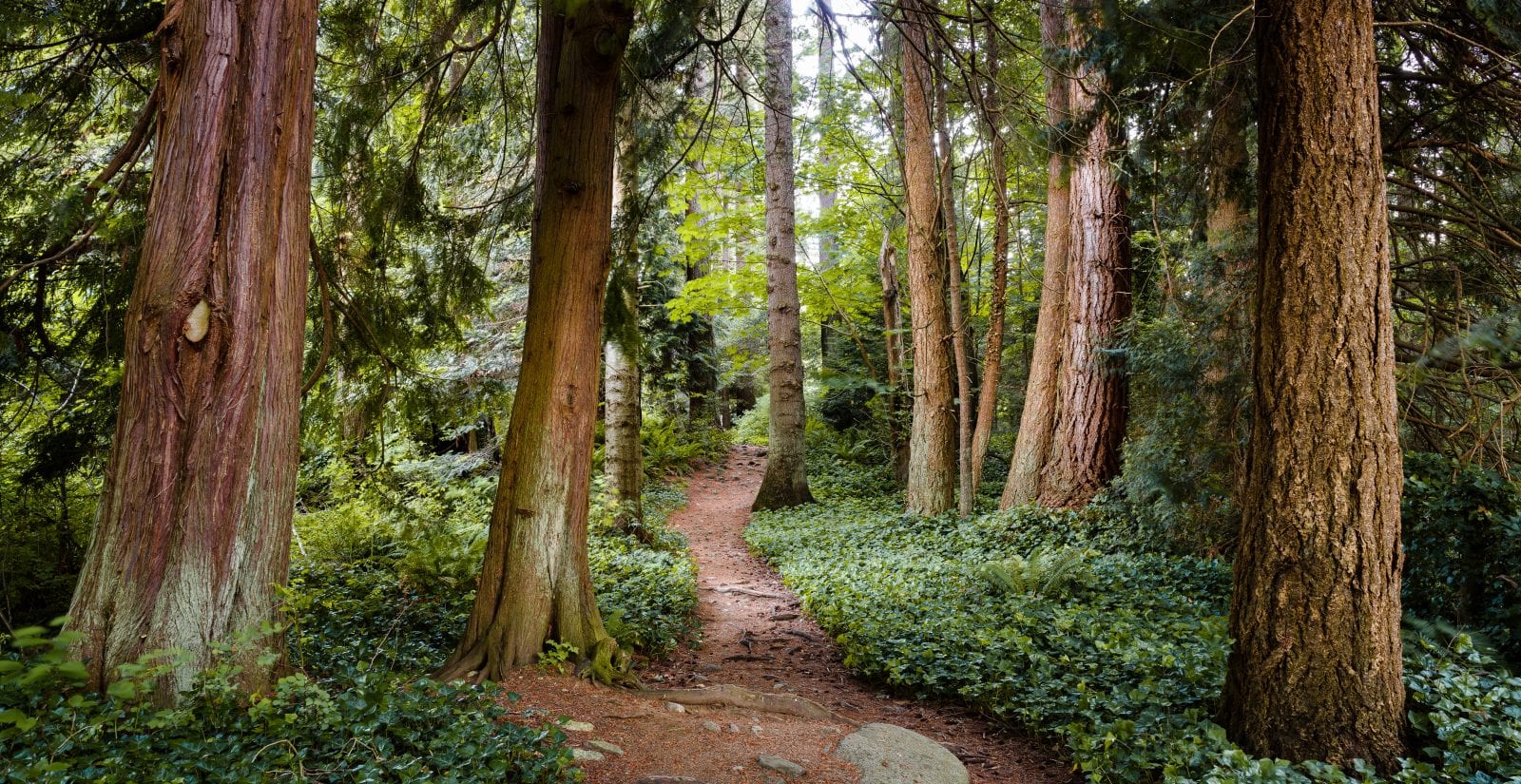 Preserving a Treasured Place for Generations to Come - Touchstone at ...