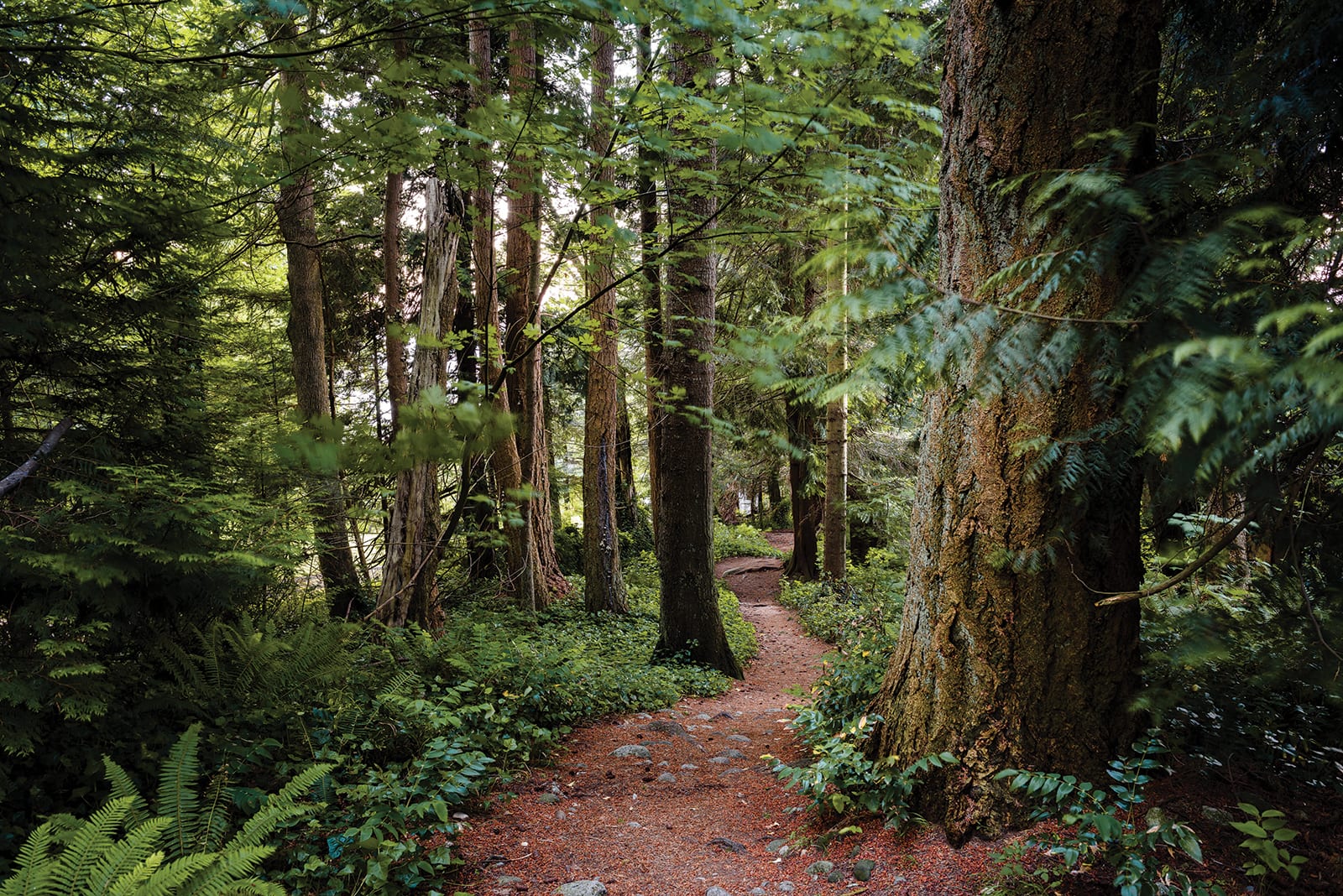 Great Outdoor Spaces Near Touchstone - Touchstone at Gospel Rock